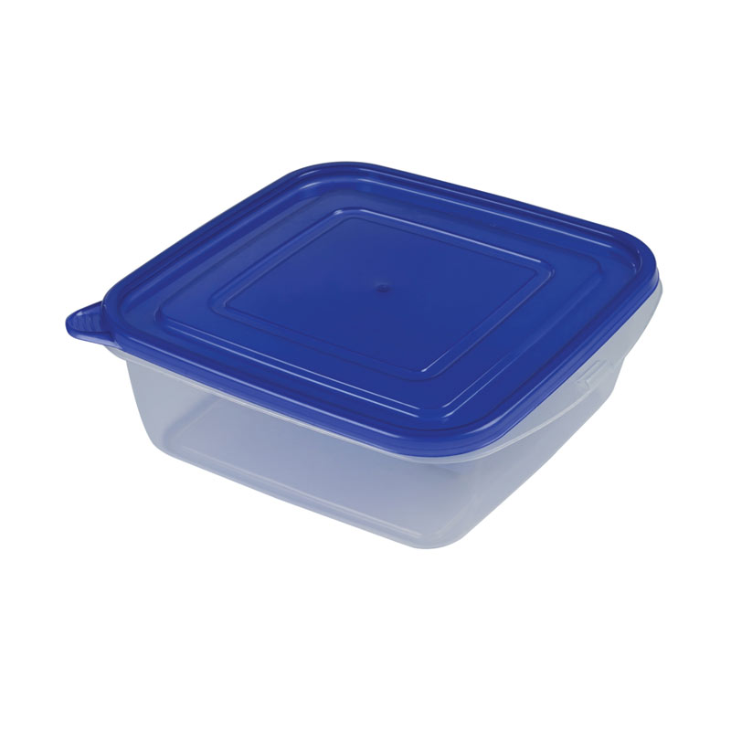 Food Container – Page 3 – Bengal